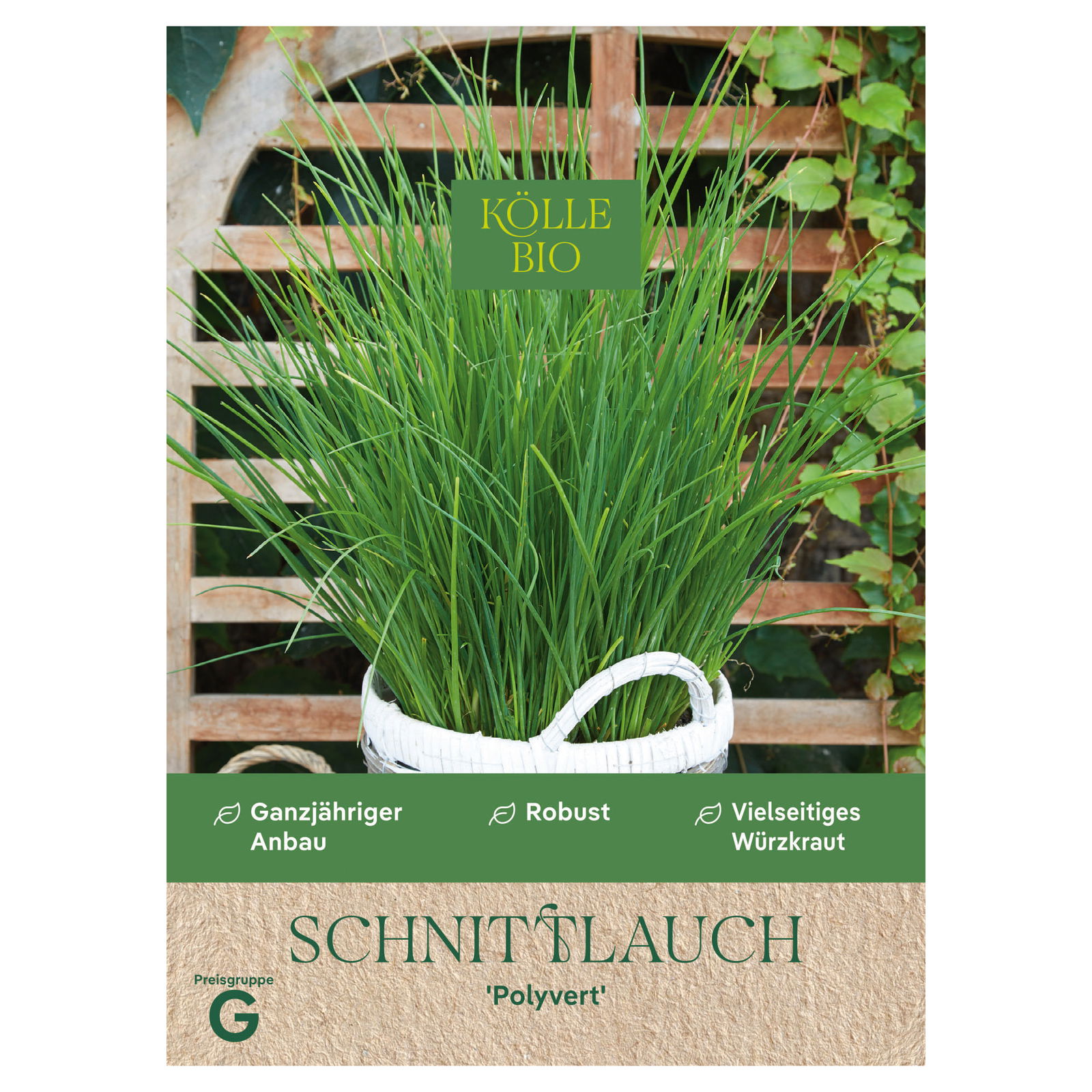 Schnittlauch 'Polyvert', Saatgut online kaufen | Pflanzen-Kölle