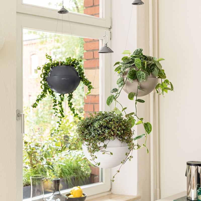 Lechuza Bola Color 23, schiefergrau, All-in-One-Set, 23 cm x 18 cm