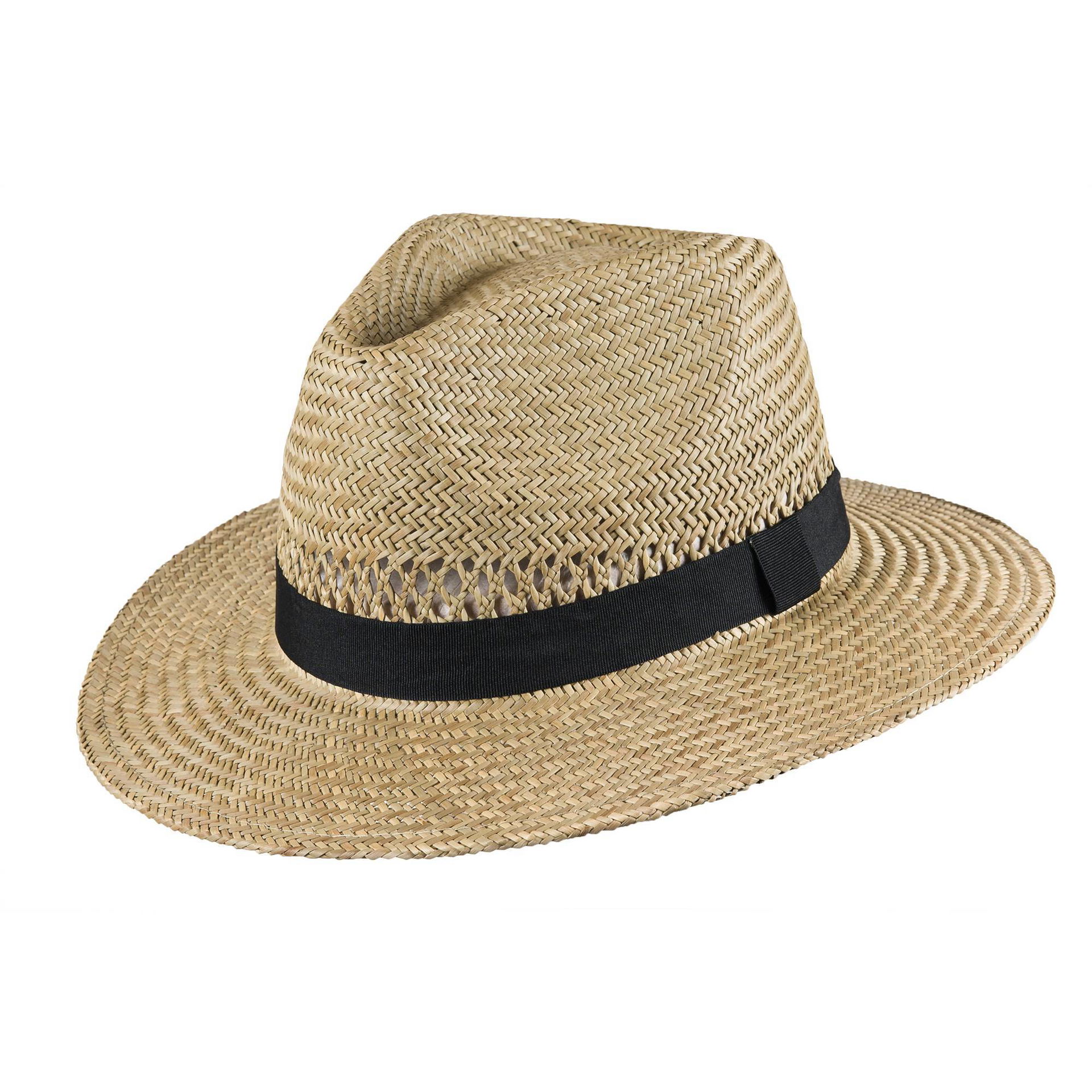 Barrow von SCIPPIS in Braun online kaufen | Pflanzen-Kölle