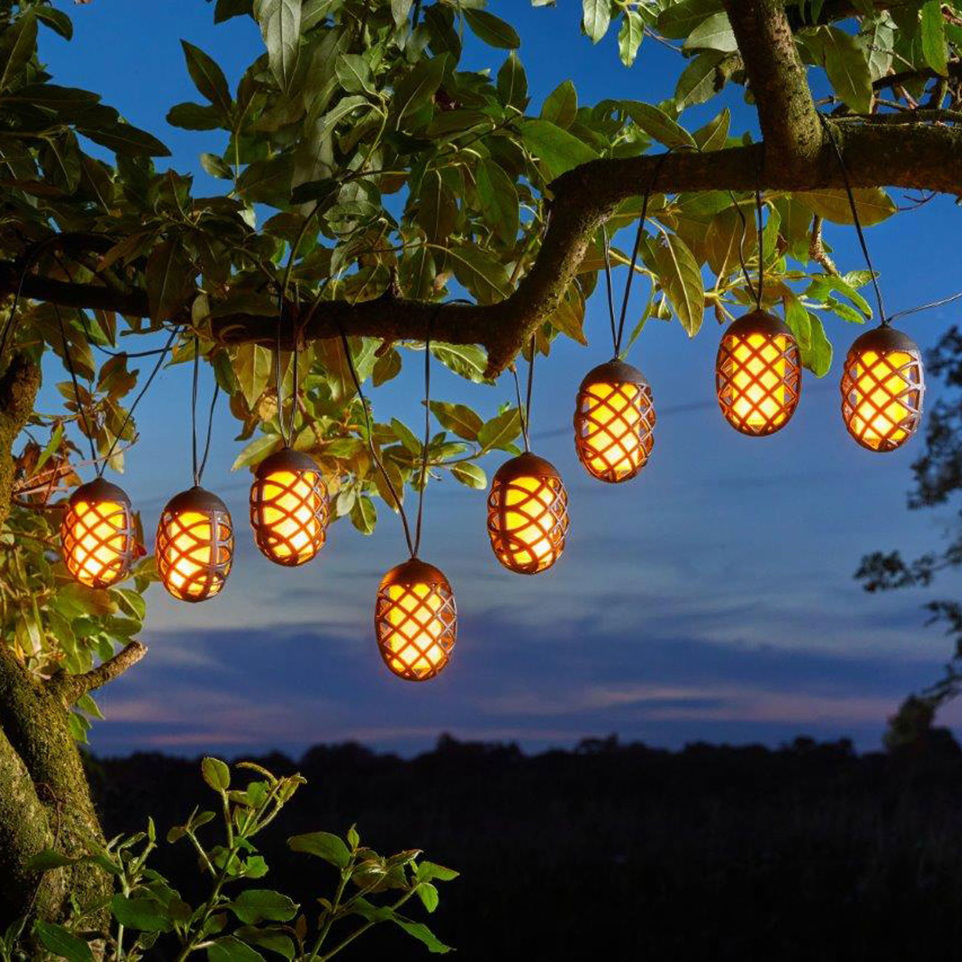 Elegantes Solar Lichterkette Auen Sommer Fotos