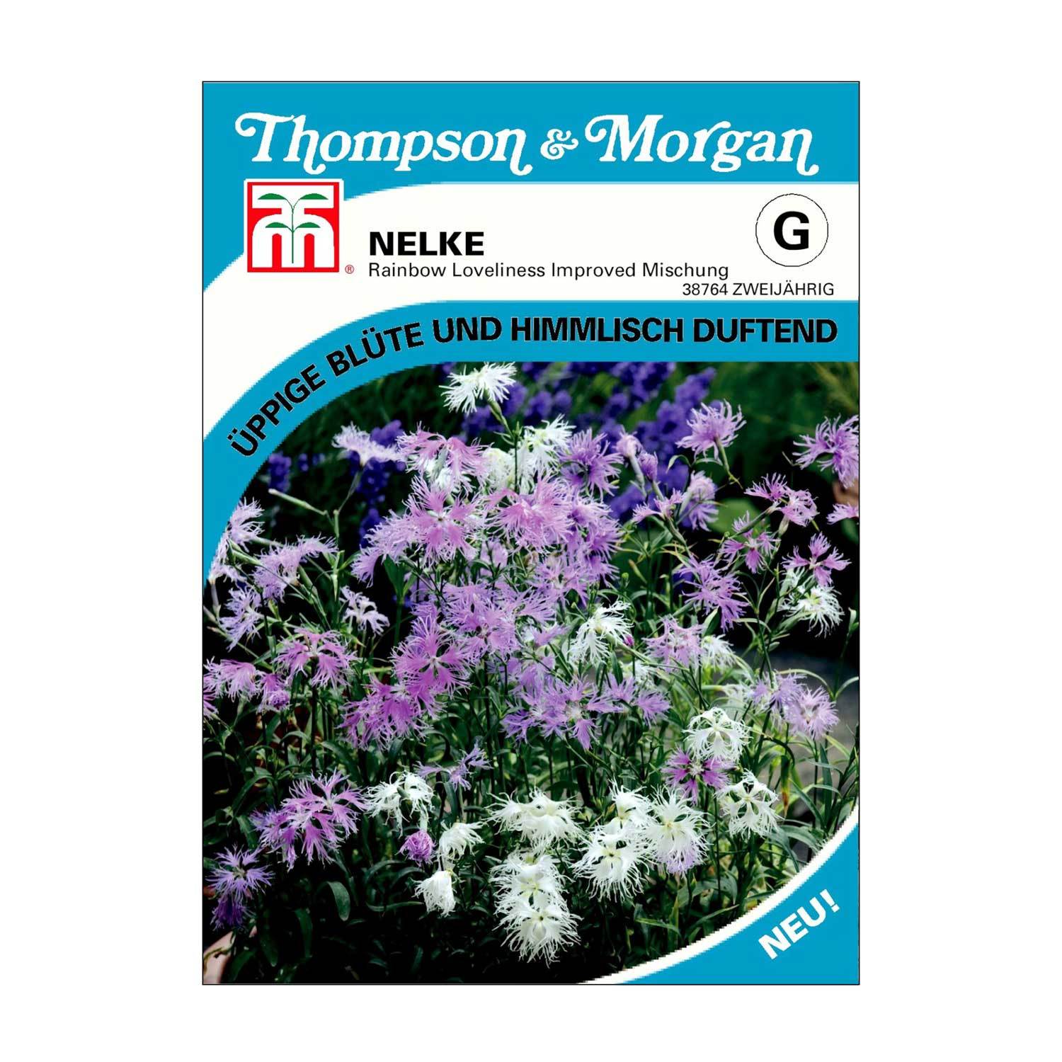 Nelke Rainbow Loveliness / Improved Mischung bei Pflanzen-Kölle