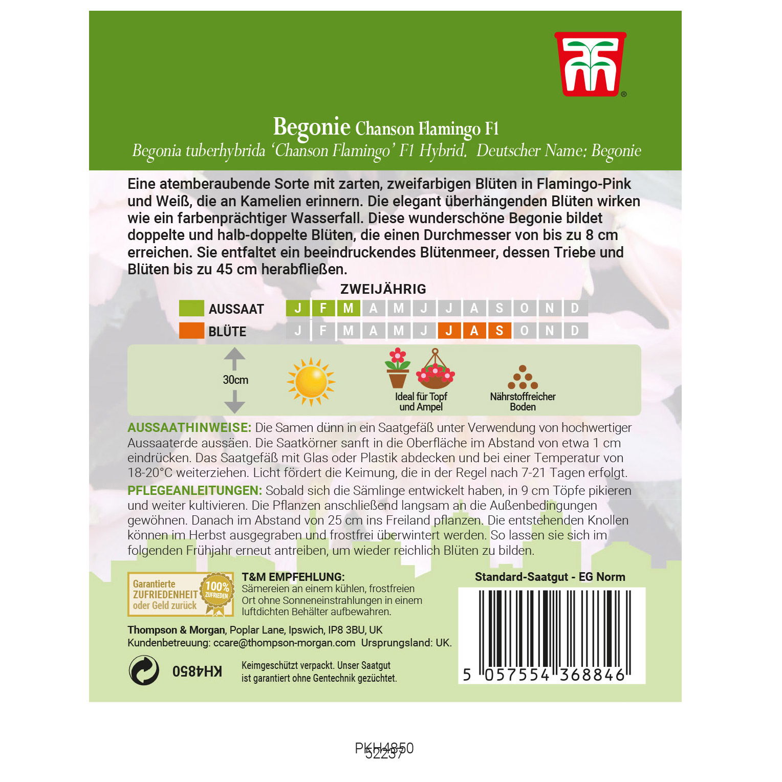 Begonie 'Chanson Flamingo', Saatgut online kaufen | Pflanzen-Kölle