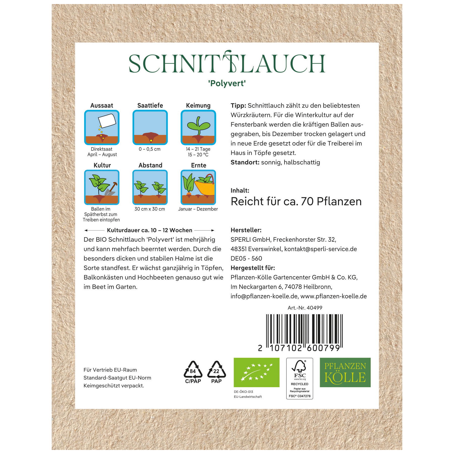 Schnittlauch 'Polyvert', Saatgut online kaufen | Pflanzen-Kölle